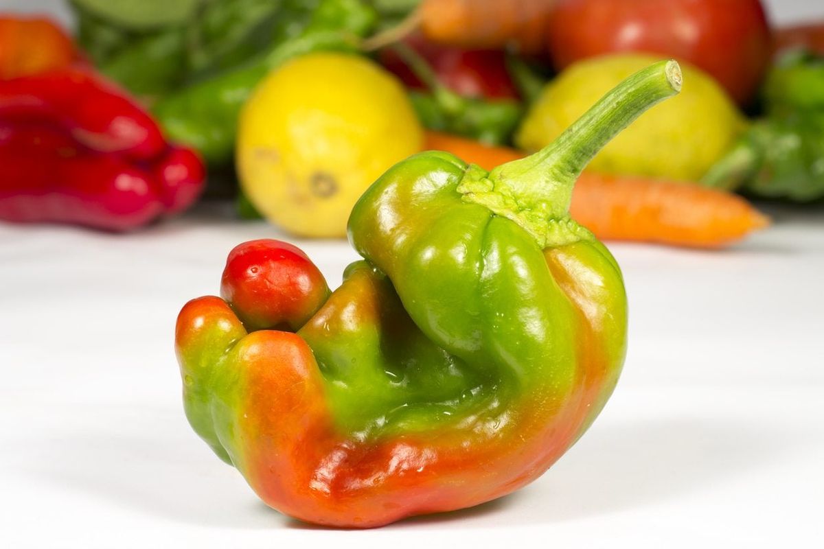 Naturally Imperfect Produce - Learn About The Ugly Produce Movement ...