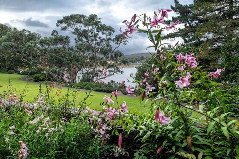 Inverewe: The making of 'The Oasis of the North' in a wind-battered ...