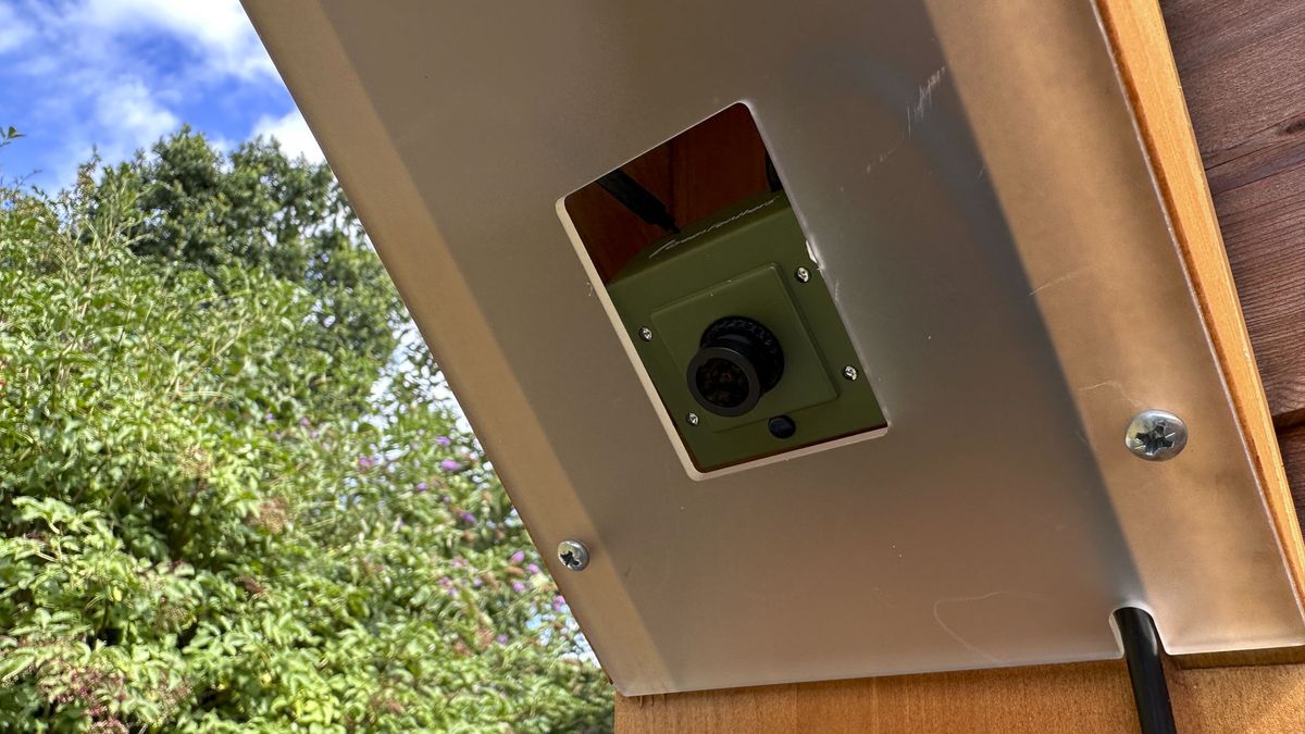 Green Feathers Bird Feeder Camera Bundle with WiFi Connection review ...