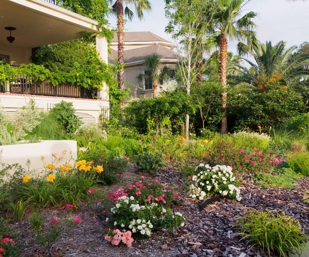 How to prune drift roses: tips for correct annual trimming | Homes and ...