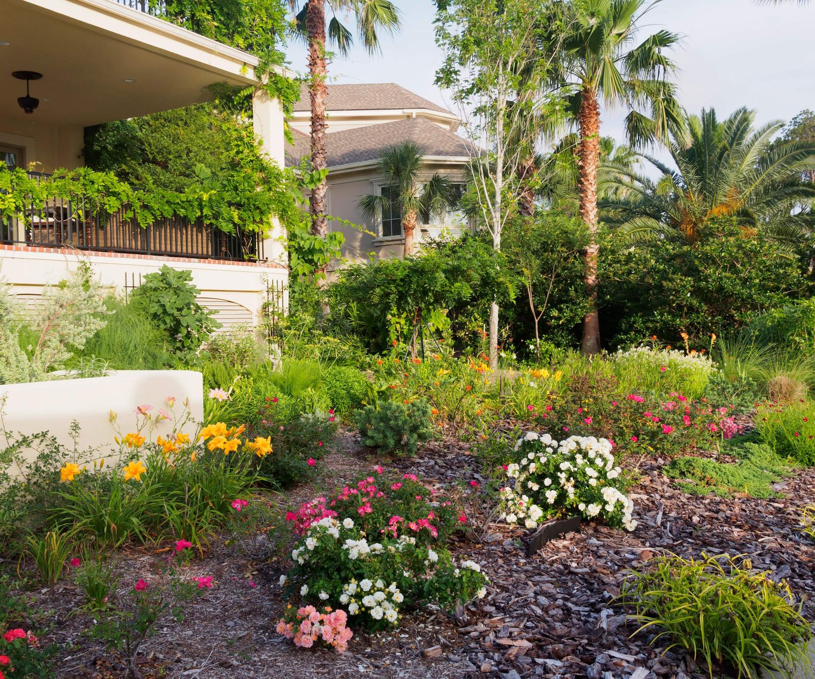 How to prune drift roses: tips for correct annual trimming | Homes and ...