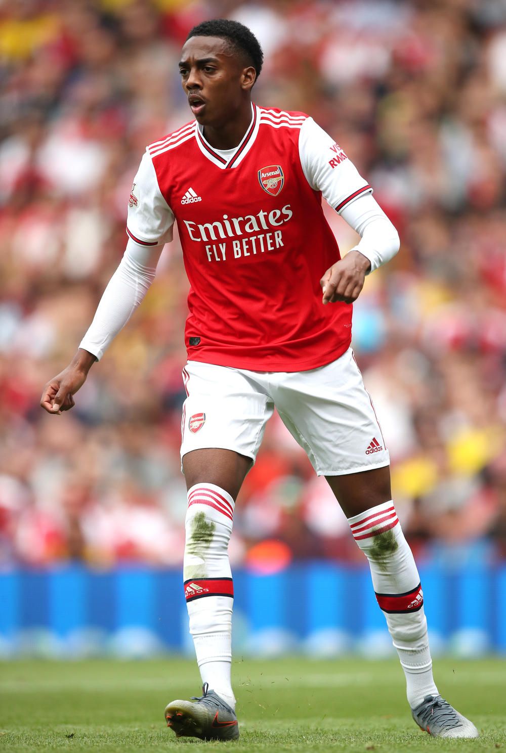 Arsenal boss Emery hails Willock progress | FourFourTwo