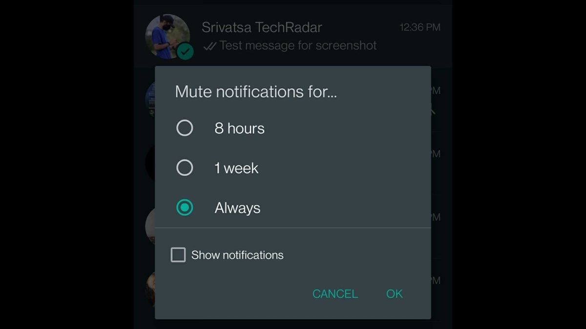 Finally! WhatsApp's new update lets you mute chats forever | TechRadar