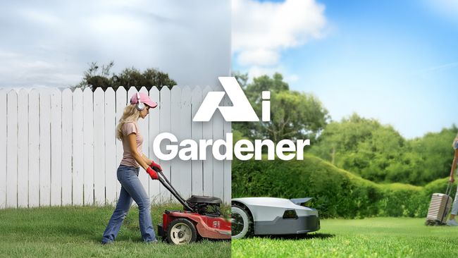 The ultimate lawn care guide — essential tips and tricks for getting ...