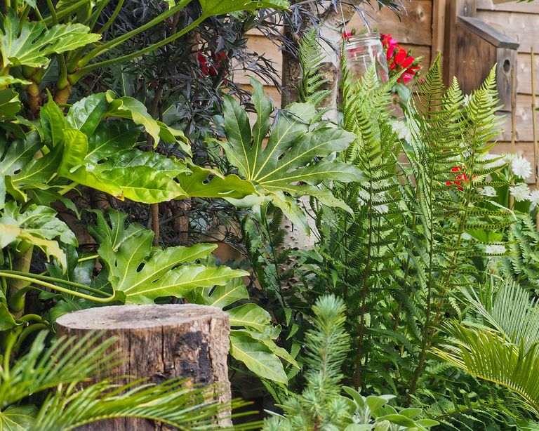 Tropical garden ideas – 10 tips to turn your garden into an oasis ...