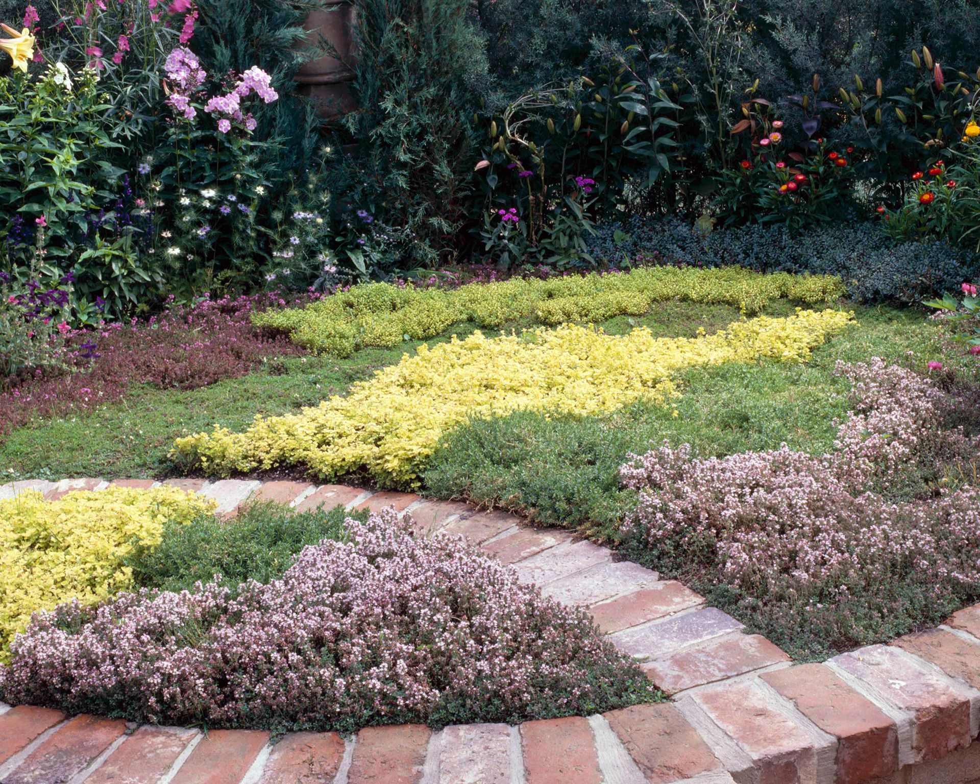 Dry gardens: how to design a drought-tolerant backyard | Gardeningetc