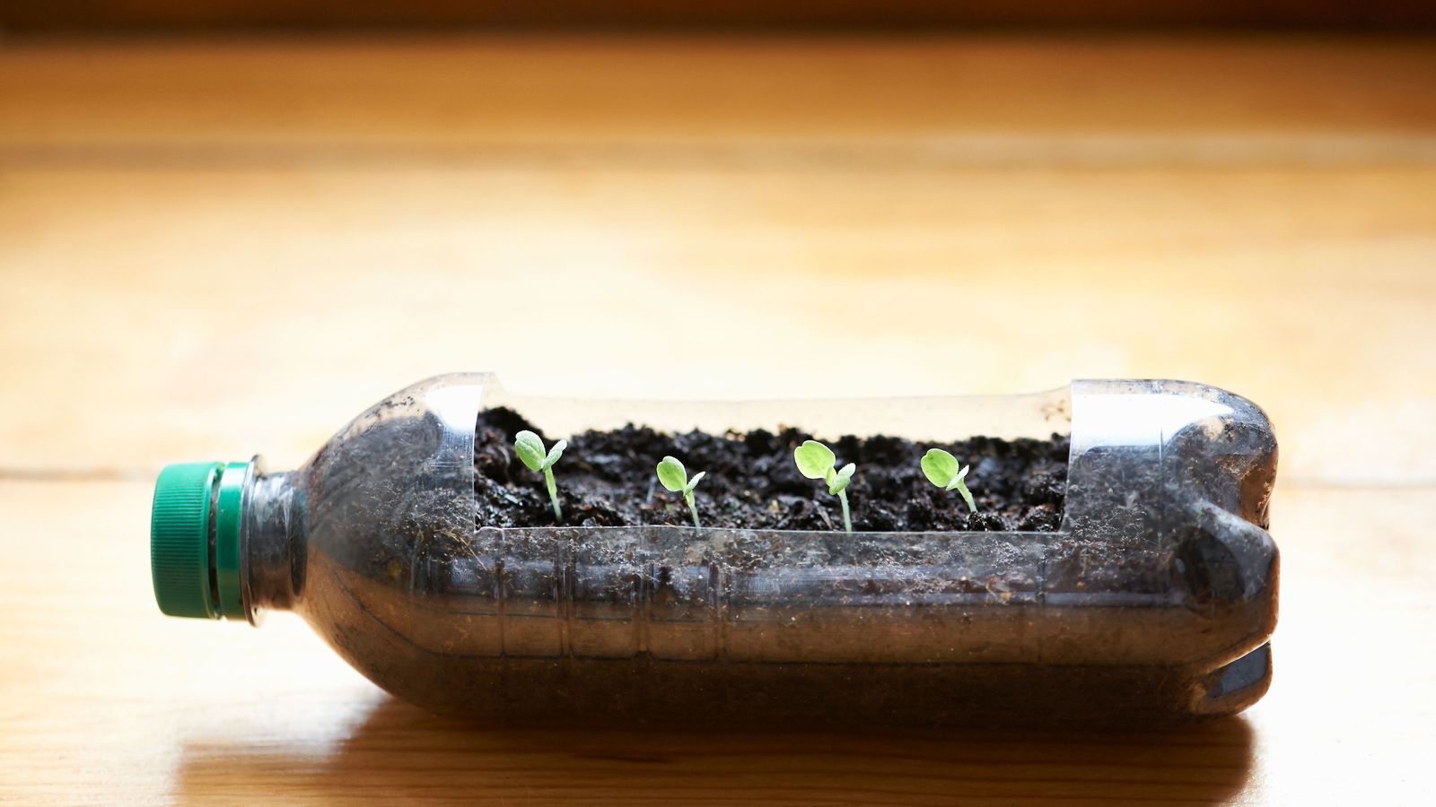 How to make compost in a bottle | Ideal Home