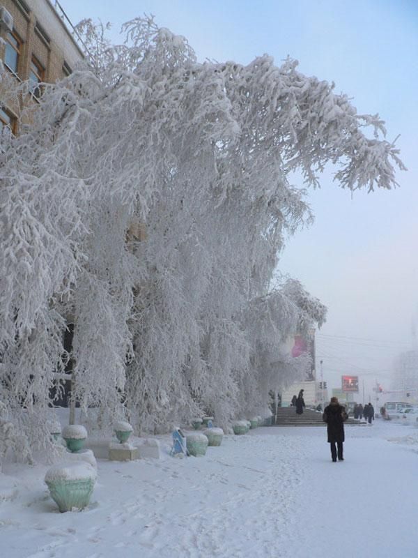 Coldest Places on Earth | Siberia, Antarctica | Live Science