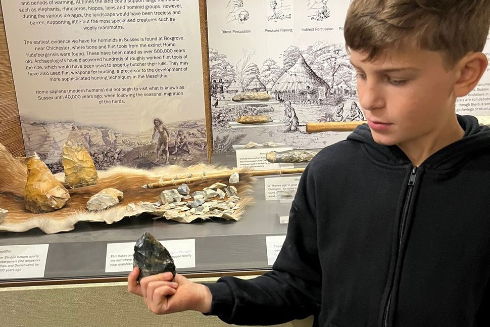 Rock found by a 6-year-old on a beach is actually a 50,000-year-old ...