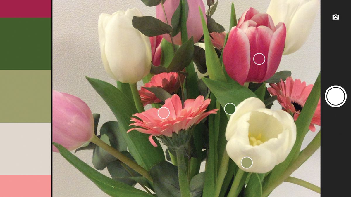 How to use Adobe Capture CC | Creative Bloq