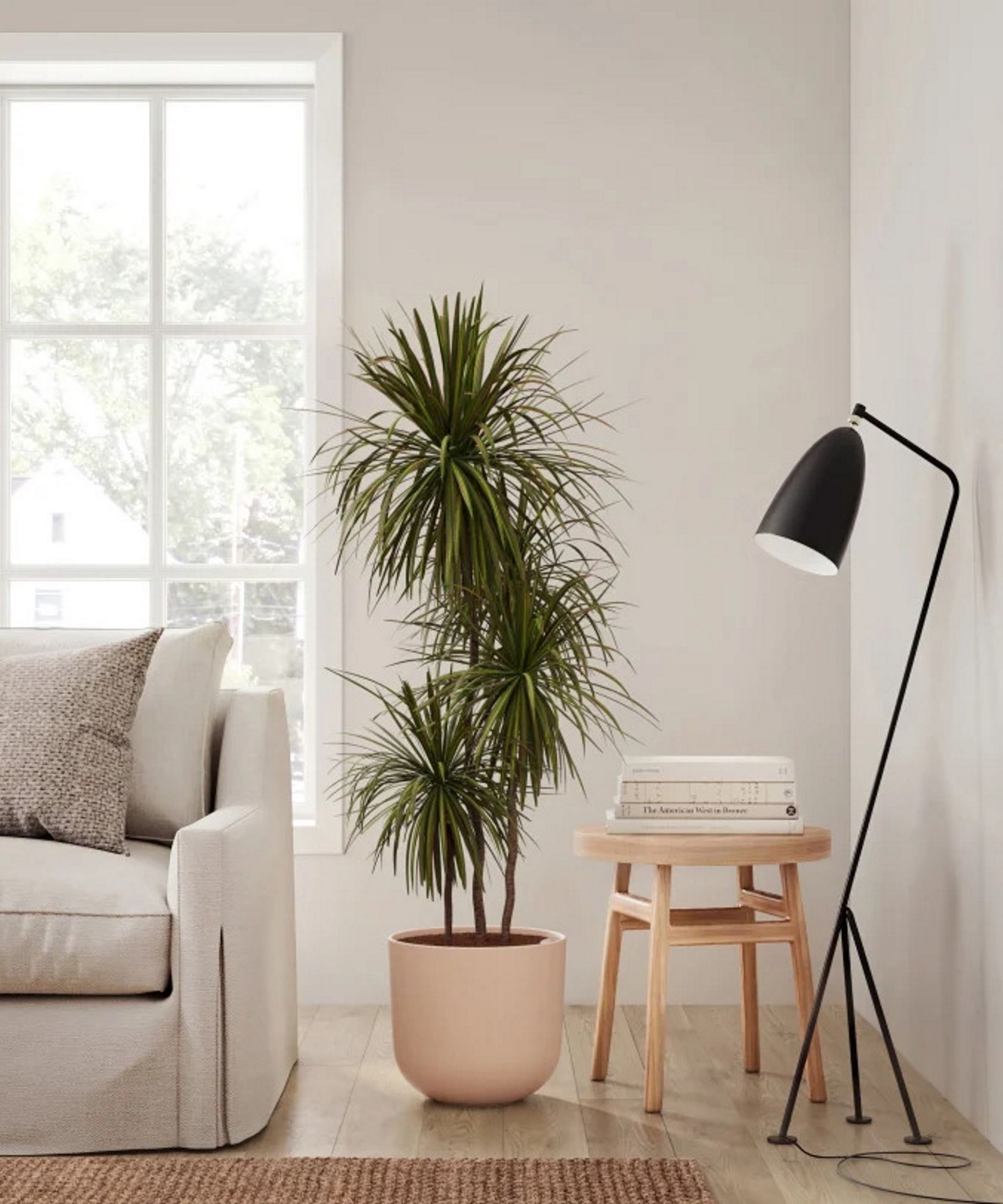 Experts reveal the best trending houseplant for 2024 | Homes and Gardens