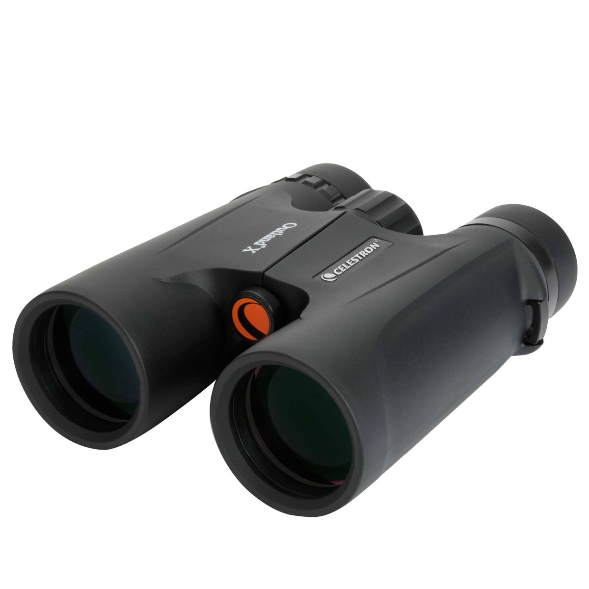 The best binoculars in 2025 for astronomy, wildlife, sports fans, and ...