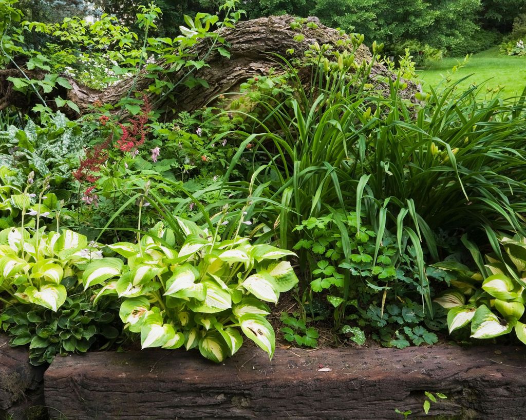 Landscaping with railroad ties: 10 clever ways to use them | Gardeningetc