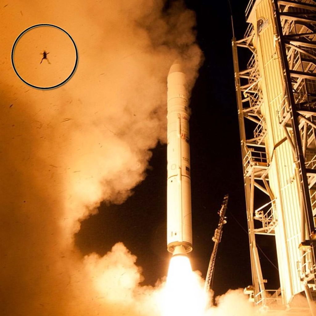 Frog Photobombs NASA Moon Probe Launch (Photo) | Space