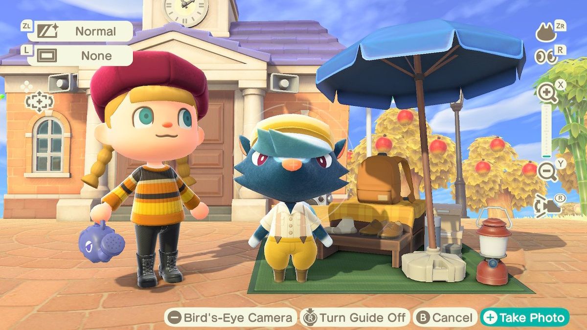 Animal Crossing: New Horizons — How to unlock and use the Pro Camera ...