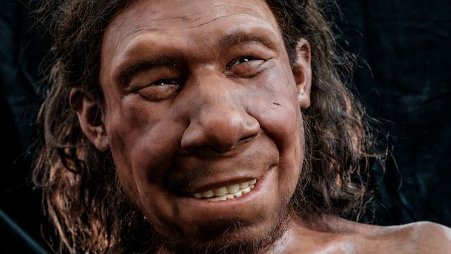 Lumpy tumor shown on facial reconstruction of Neanderthal who lived on ...