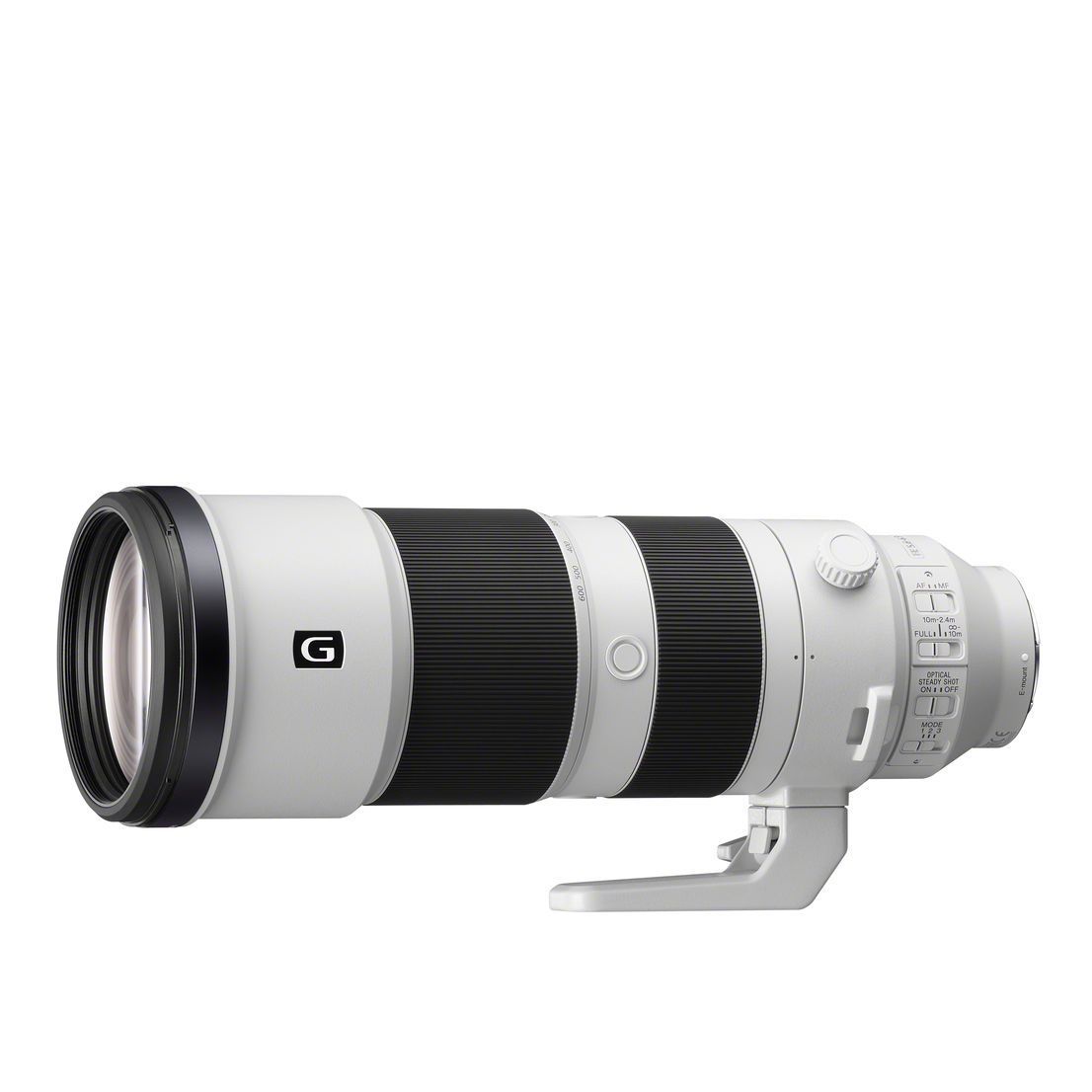 The best lenses for bird photography | Digital Camera World