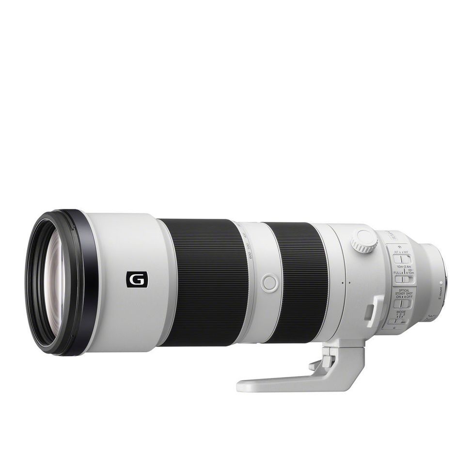 The best lenses for bird photography | Digital Camera World