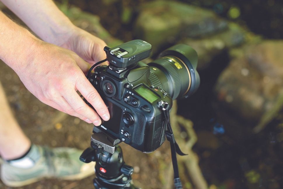 How to photograph wildlife using a wide-angle lens - Video tutorial ...