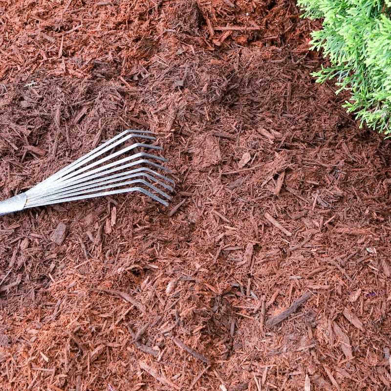 Tips & Information about Mulch | Gardening Know How