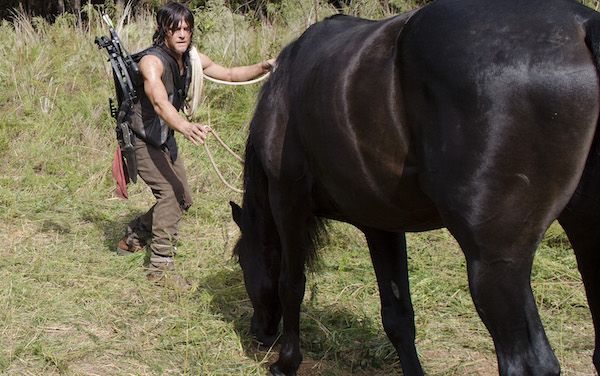 The Walking Dead: Why Daryl's Horse Is A Bad Omen | Cinemablend