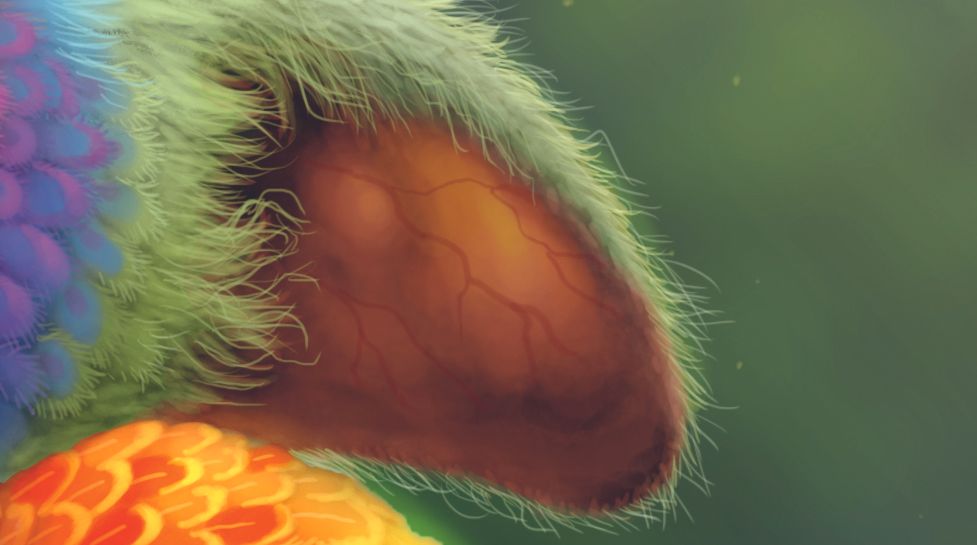 How to paint vibrant creatures in Photoshop | Creative Bloq