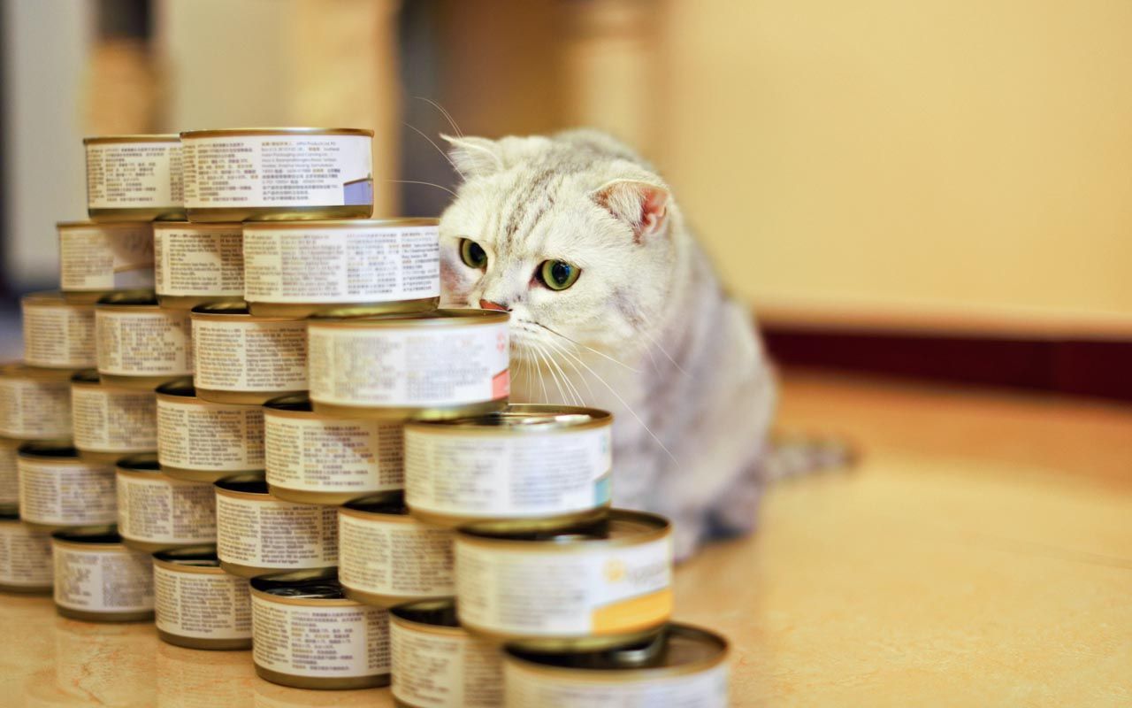 The Best New Stocks to Buy in 2020 (And 2 to Avoid) | Kiplinger