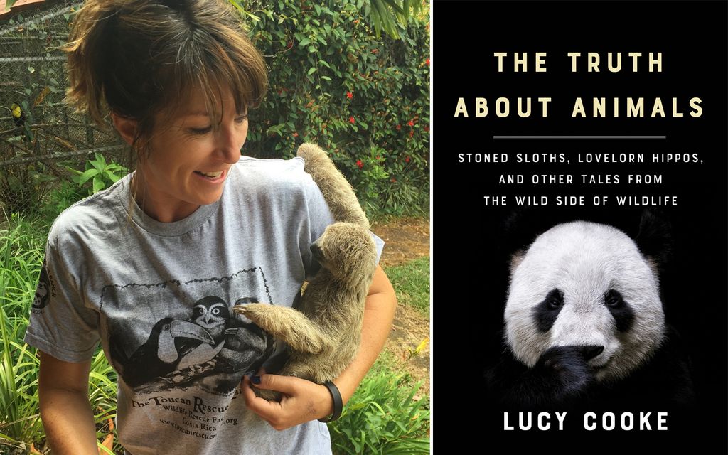 Curious About Stoned Sloths and Lovelorn Hippos? Enter to Win This Book ...
