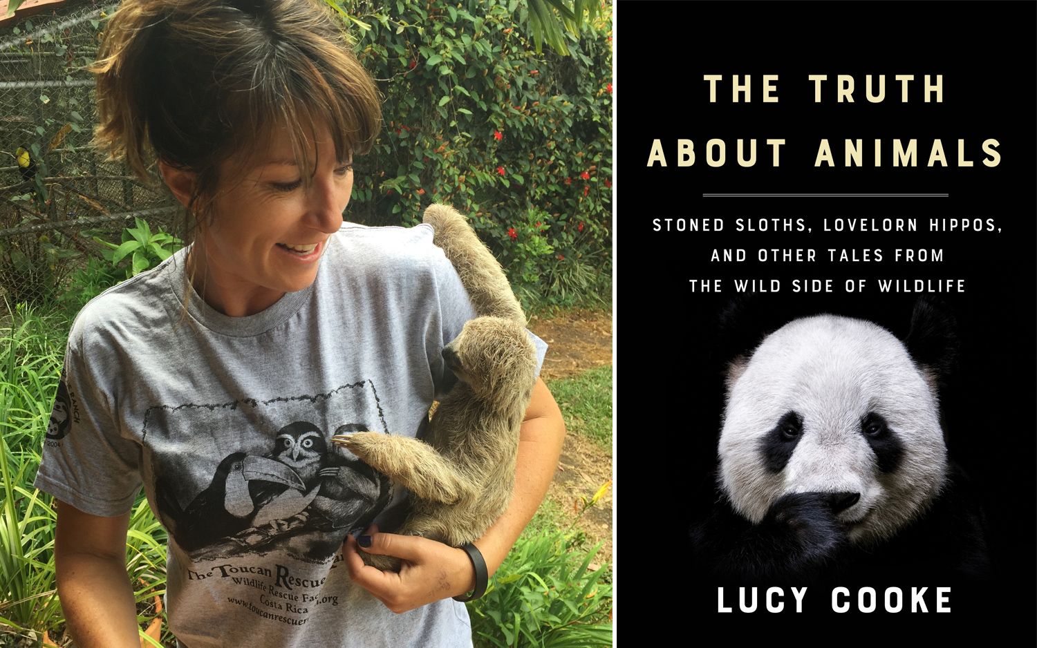 Curious About Stoned Sloths and Lovelorn Hippos? Enter to Win This Book ...