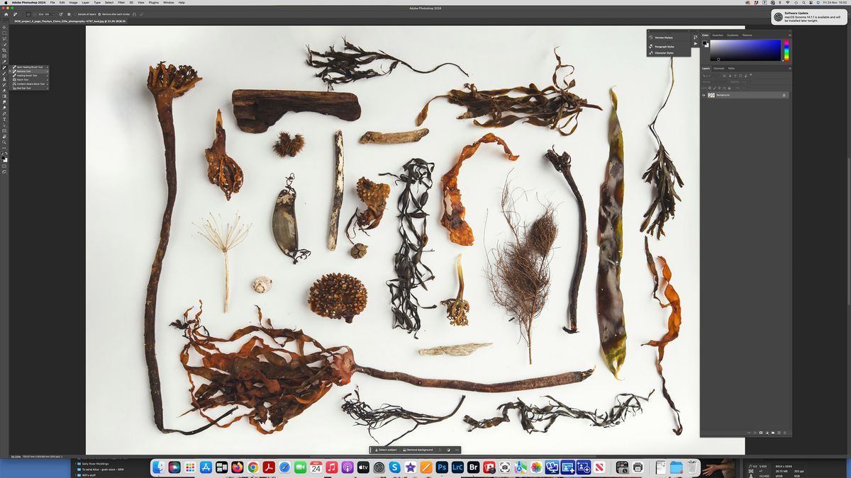 How to shoot a flat lay featuring ingredients from nature | Digital ...