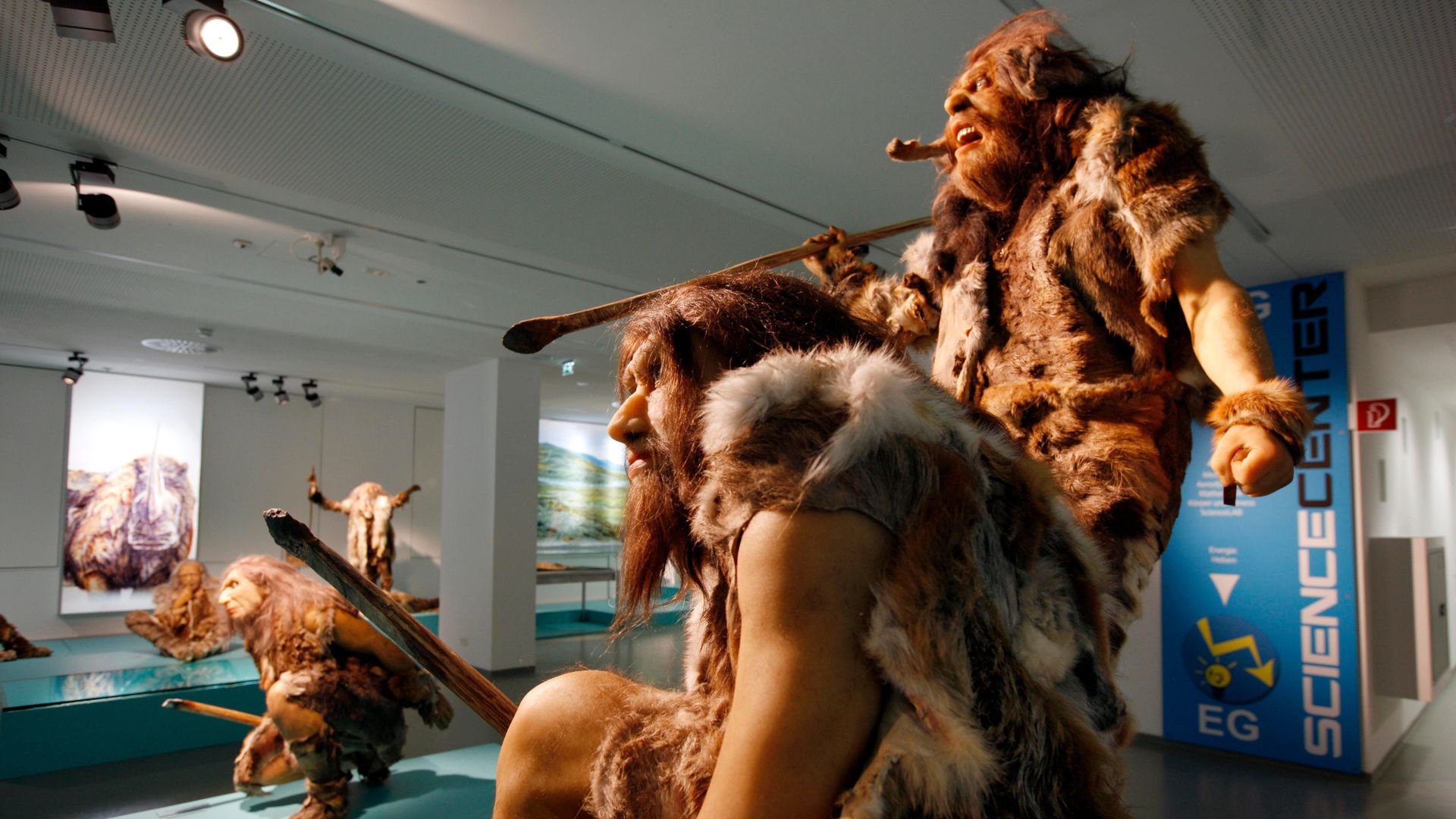 125,000-year-old 'fat factory' run by Neanderthals discovered in Germany — and it likely ...