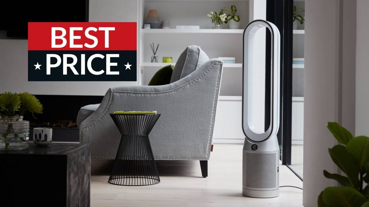 Dyson cuts £200 off fans and purifiers to help shoppers beat the ...