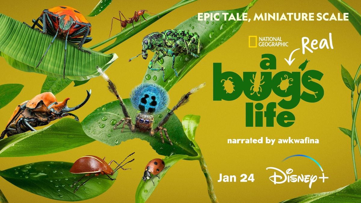 New On Netflix, Disney+ And More: 9 Streaming Shows And Movies To Watch ...