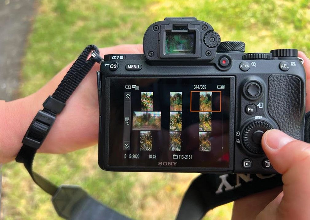 ICM photography: How I use Intentional Camera Movement to bring scenes ...