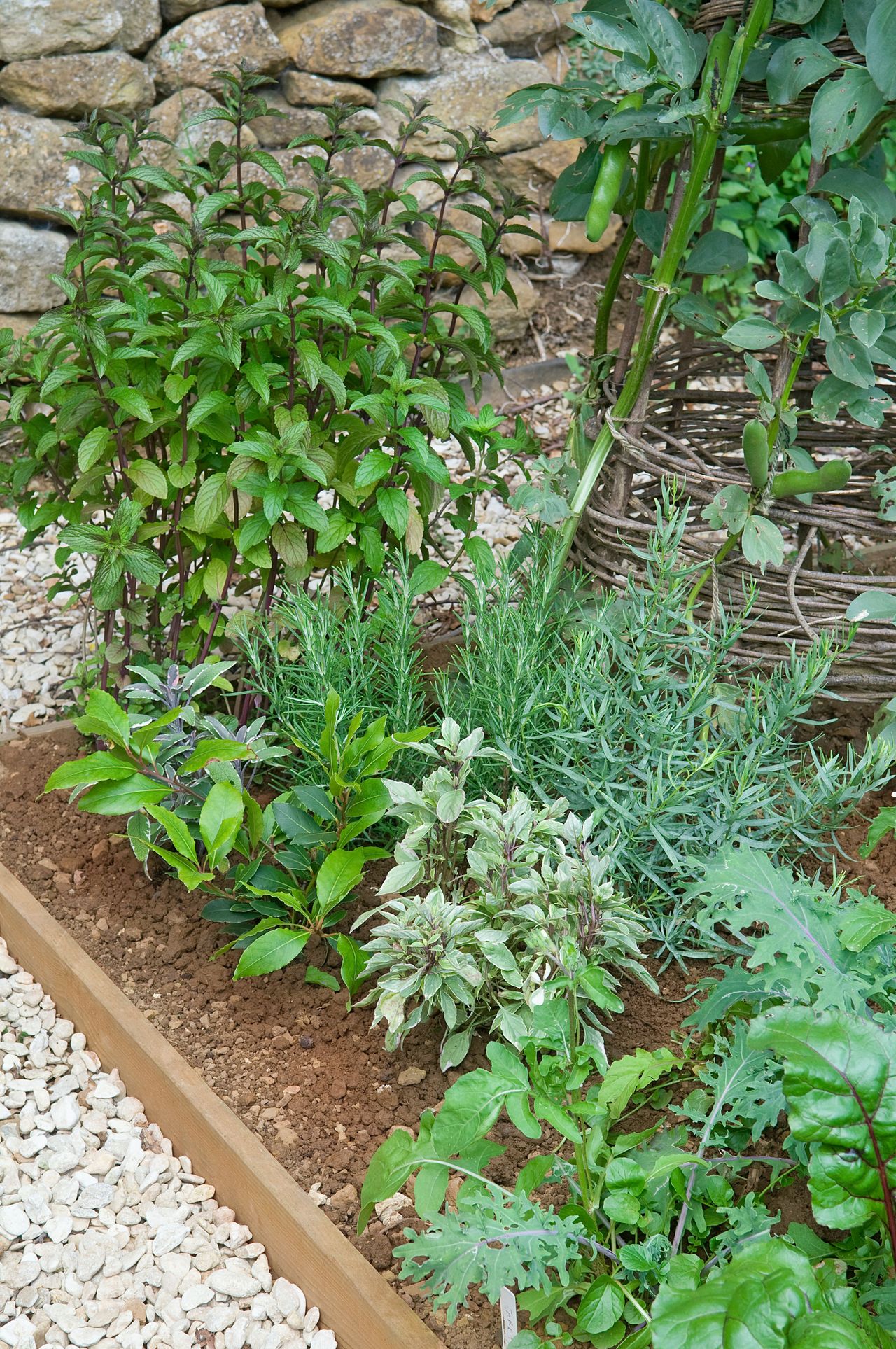 10 herb garden ideas that are super easy to maintain | Livingetc