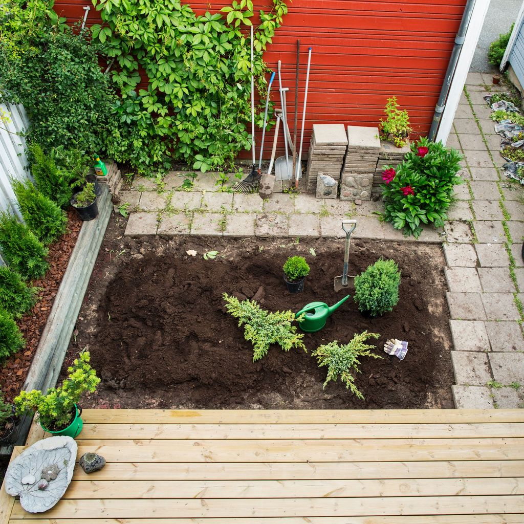 How to grow peonies in pots and containers | Ideal Home