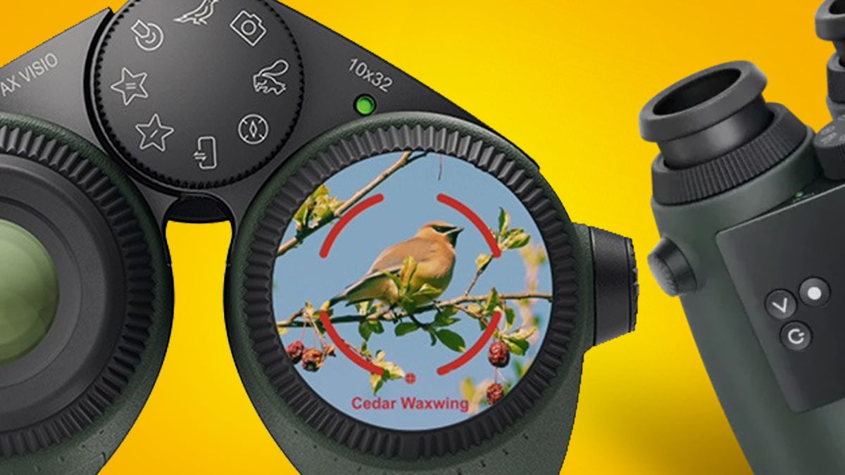 These smart, bird-identifying binoculars could be the ultimate gift for ...
