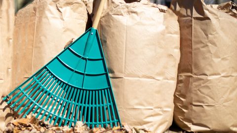 How to rake leaves the easy way — tips and tricks | Tom's Guide