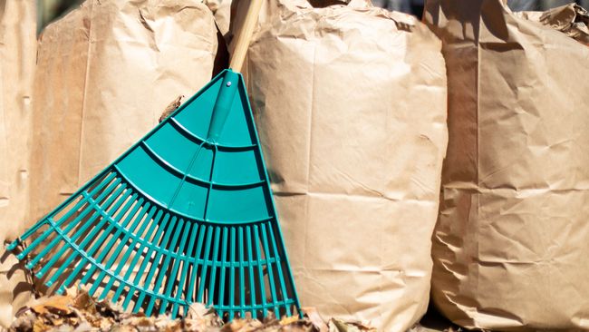 How to rake leaves the easy way — tips and tricks | Tom's Guide