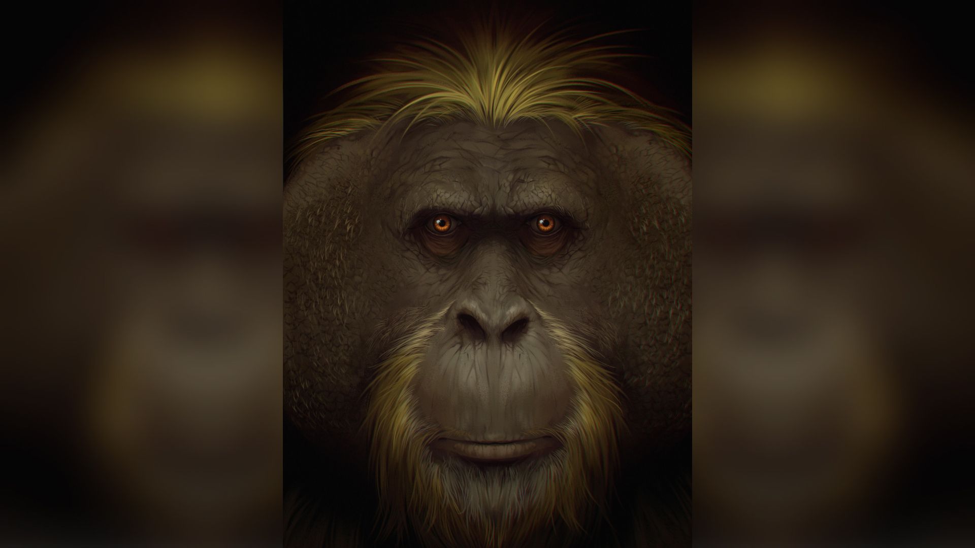 Giganto, world's largest ape, went down poor evolutionary path toward ...