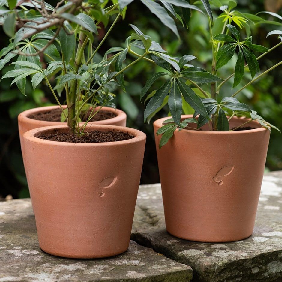 Where can I buy cheap terracotta pots? The best stockists | Ideal Home