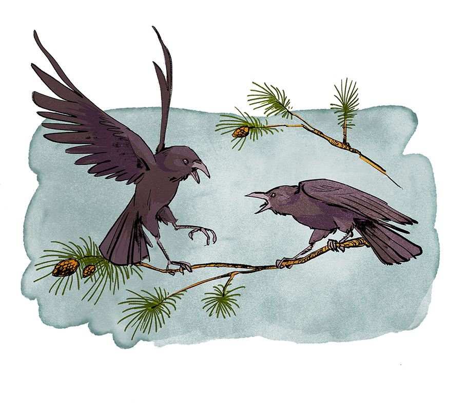 New 'Science Comics' Books Tackle Sharks, Brains, Drones and More ...