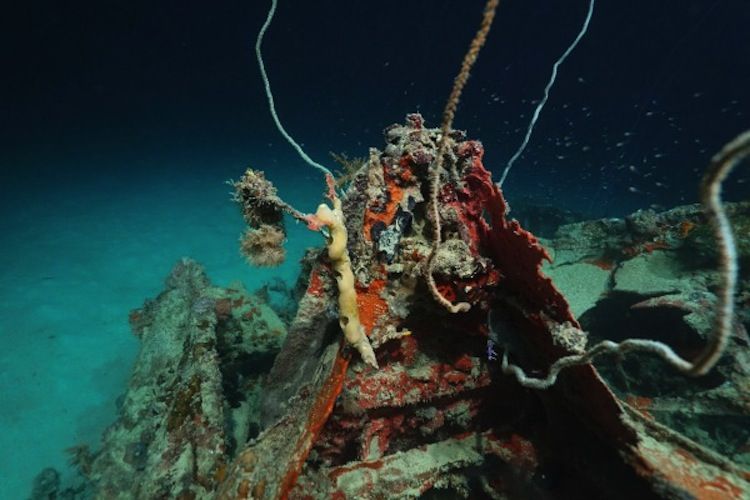 Missing for 72 Years: WWII Aircraft Finally Located in Pacific | Live ...