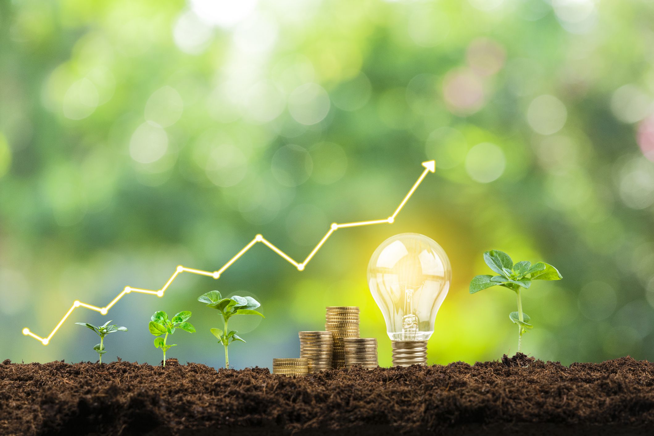 Could the new Growth Guarantee Scheme boost your business? | MoneyWeek