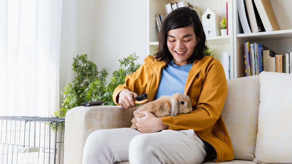 32 tips for taking care of rabbits | PetsRadar