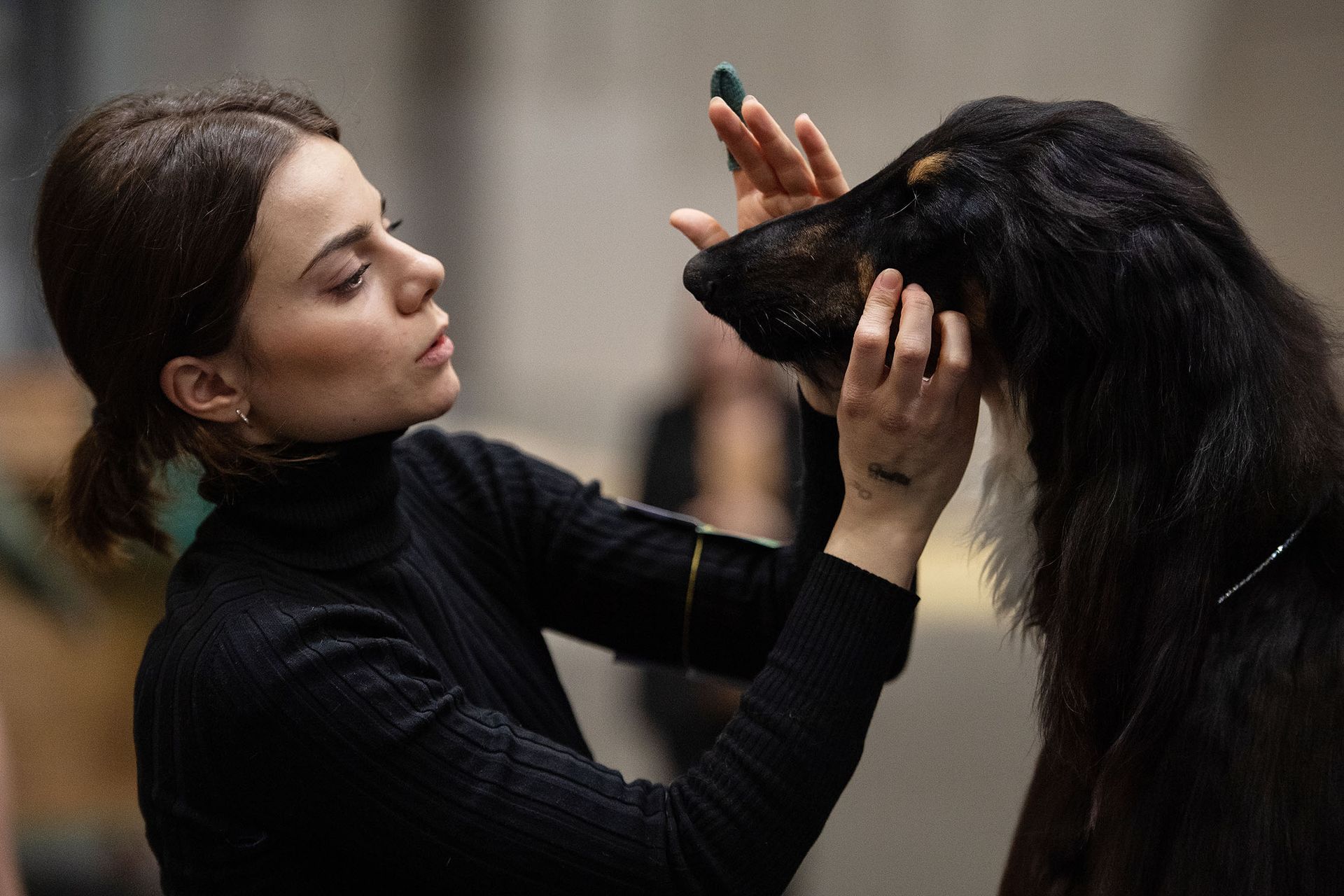 Crufts 2020: Best behind-the-scenes pictures from the iconic dog show ...