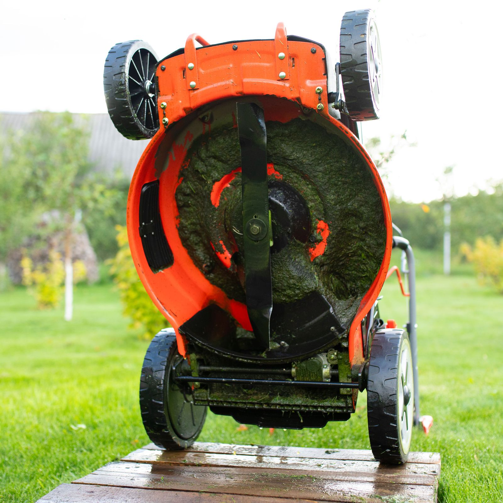 How to clean a lawn mower - expert tips to keep yours in working order ...