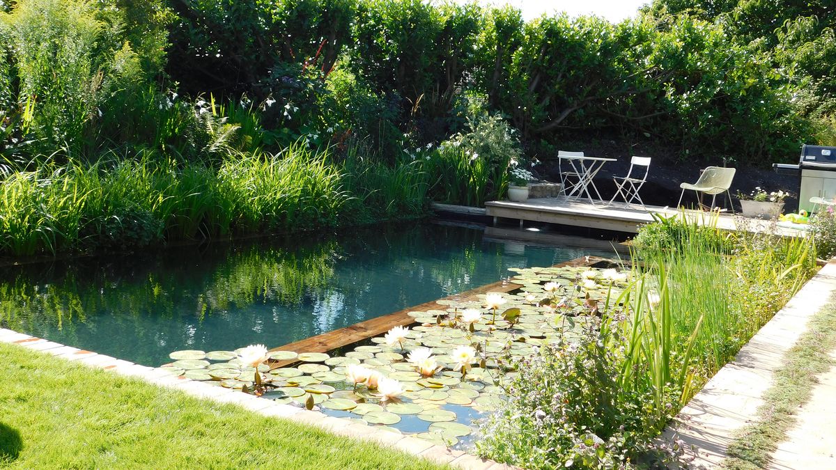 Natural Swimming Pools: Is This Feature Right For You? | Homebuilding