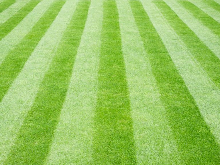 How To Mow Stripes In A Lawn | Gardening Know How