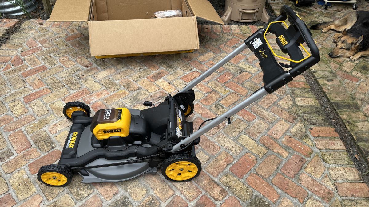 DeWalt 60V MAX Brushless Push Mower review: lightweight yet powerful ...